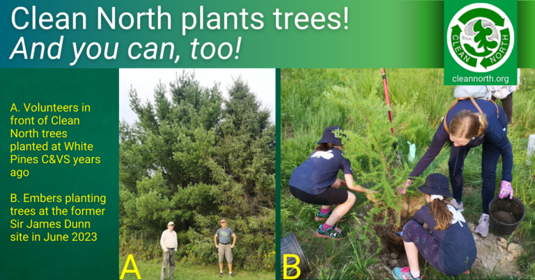 Clean North plants trees to green our city, fight climate change (plus ...